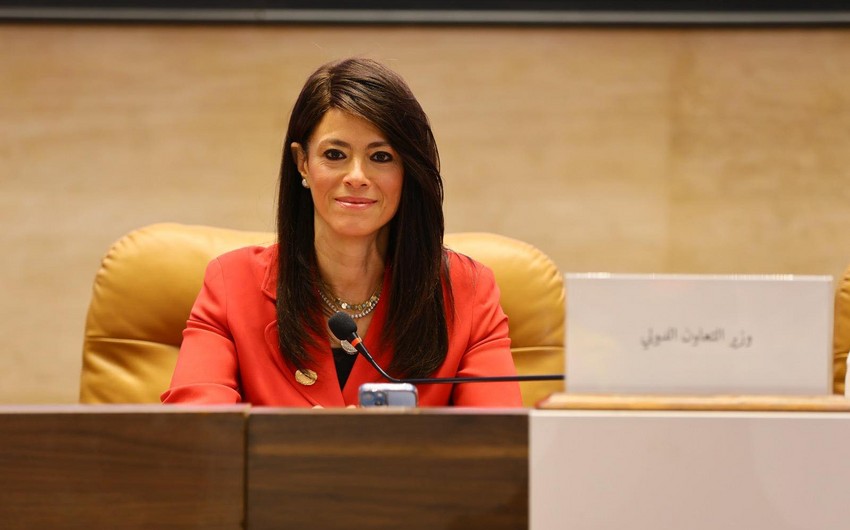 "Yaşıl investisiya”ların 15 %-i bu ölkələrin payına düşür - Misirli ...