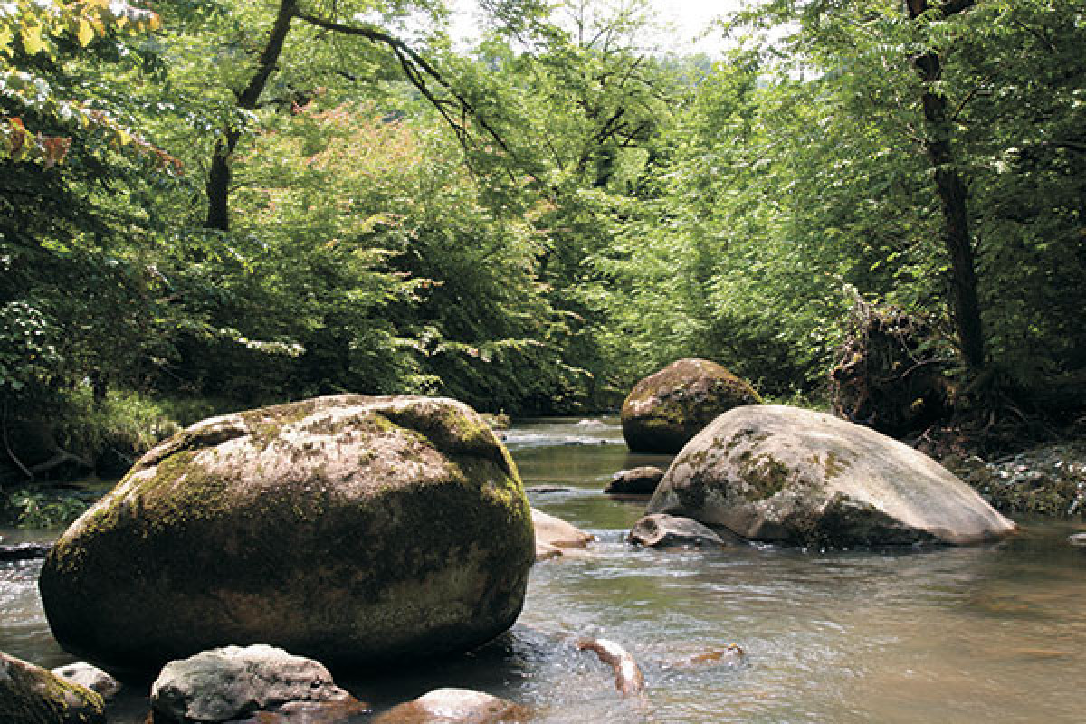 Qarabağda yeni milli park yaradılacaq - Globalinfo.az